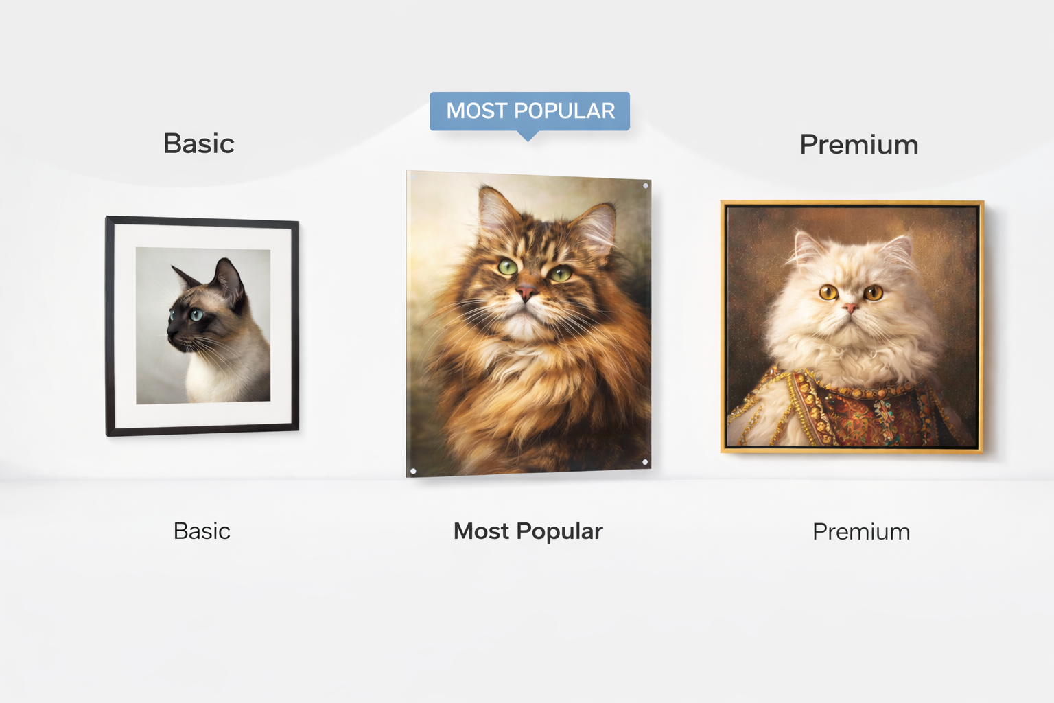 Custom Cat Portrait Cost from Photo | Best Value Pet Art