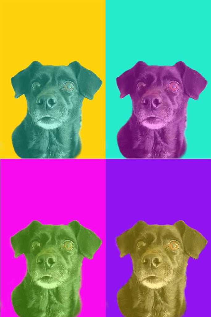 Creating Beautiful Dog Portraits: Tips and Ideas