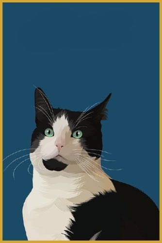 How Much Do Pet Portraits Cost? A Complete Guide to Pricing