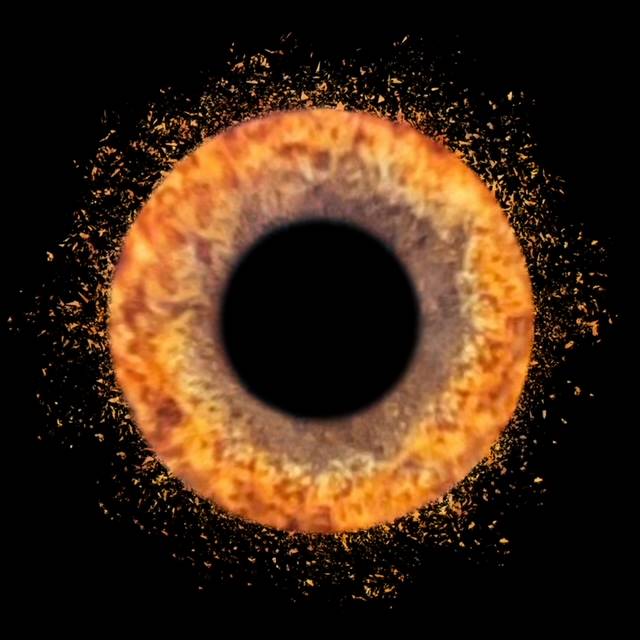 Personalized Iris Art: The New Trend in Unique Pet Portraits