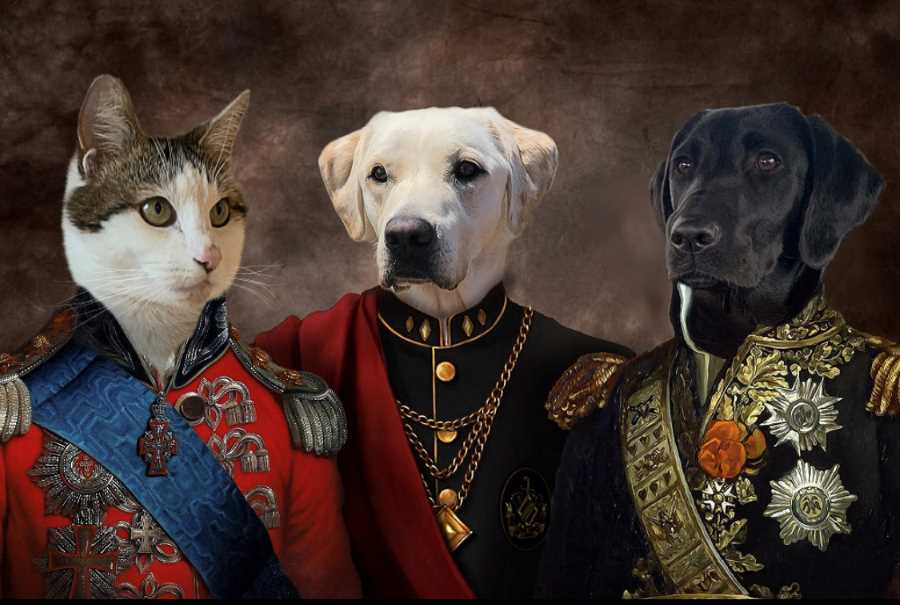 Military Pet Portraits: Elevate Your Furry Companion to Greatness