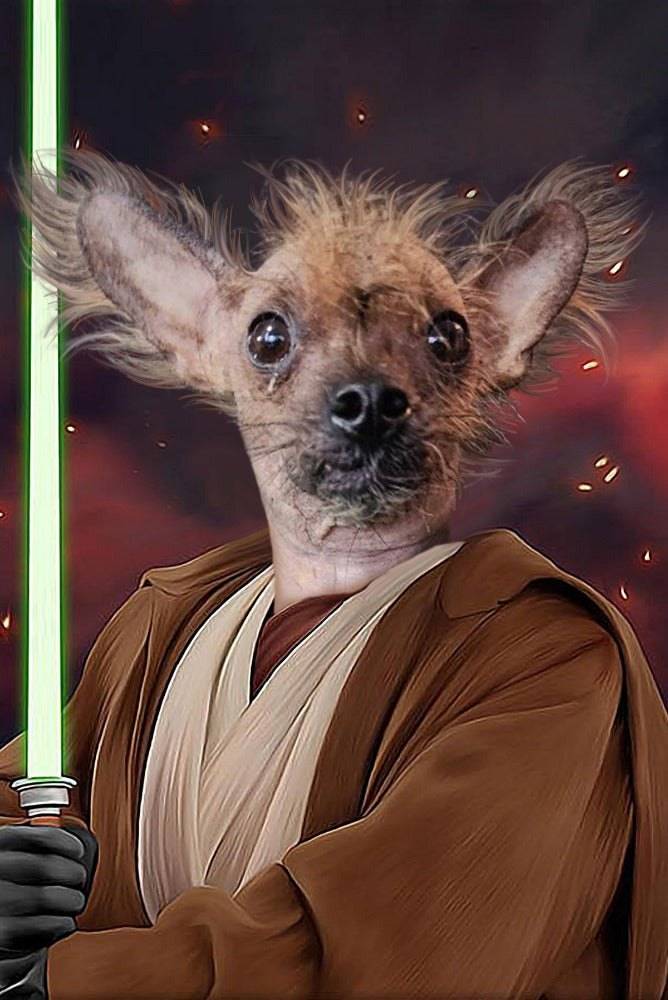Kenobi Pet Portraits: Transform Your Furry Friend into a Hero
