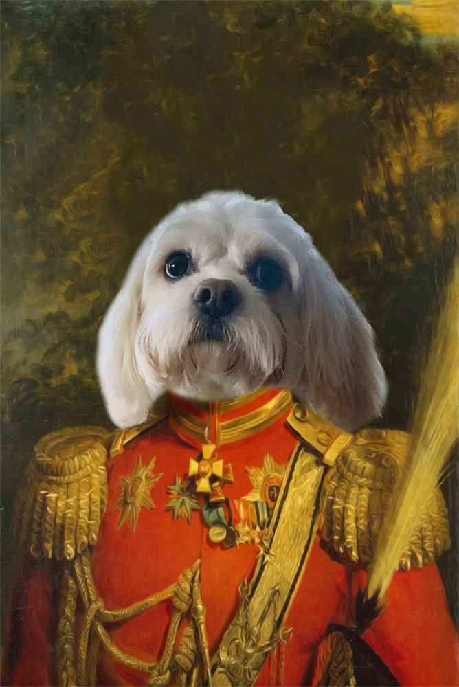 Enchanting Army General Personalized Pet Portrait From Photo