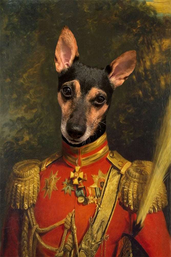 Enchanting Army General Personalized Pet Portrait From Photo