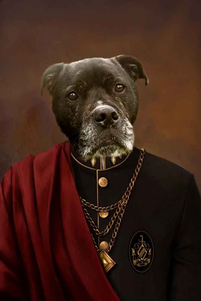 Transform Your Pet into an Indian Ambassador Custom Portraits