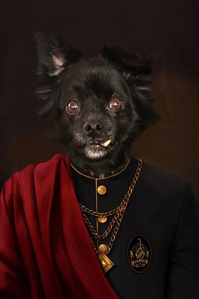 Transform Your Pet into an Indian Ambassador Custom Portraits