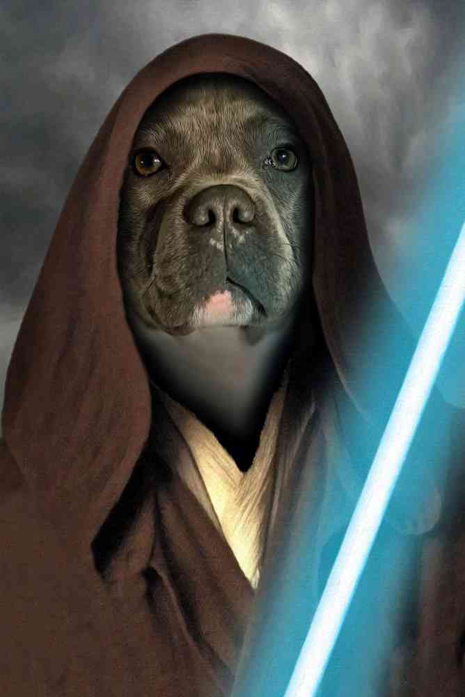 Jedi Pet Portrait - Transform Your Furry Friend into a Jedi