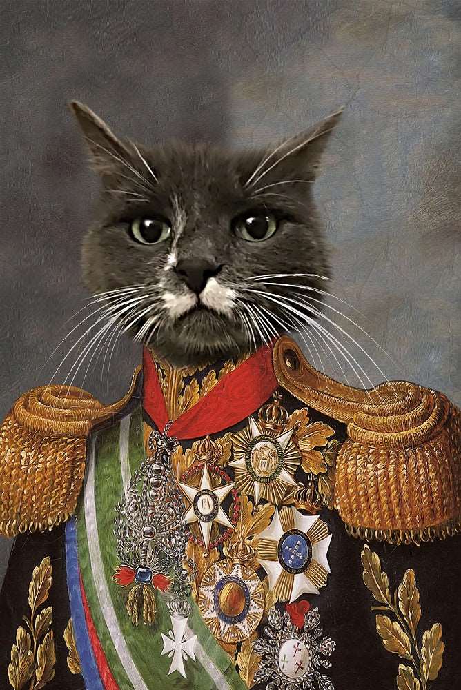 Custom Pet Portraits: Transform Your Pet into a Major General